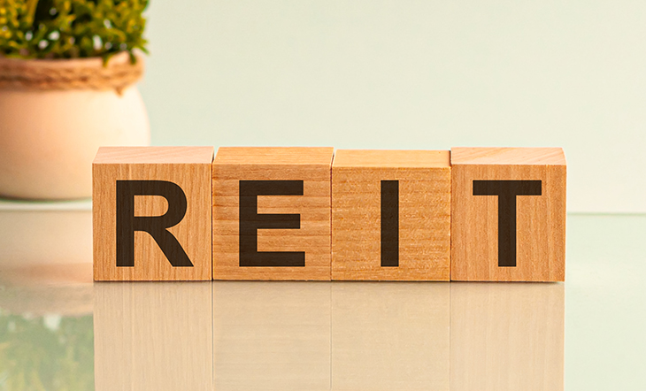 Real Estate Investment Trust (REIT) Investing Basics You Need to Know ...